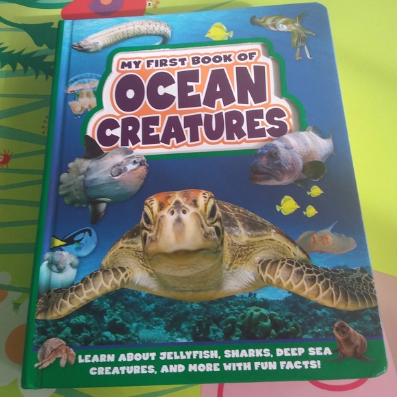 Sandy Creek | Toys | Vguc My First Book Of Ocean Creatures Hardcover ...